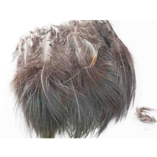 THE FLY CO. Ringneck Pheasant Rump Hackle | Perhokalastus.fi