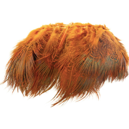 Wapsi Ringneck Pheasant Rump Hackle | Perhokalastus.fi